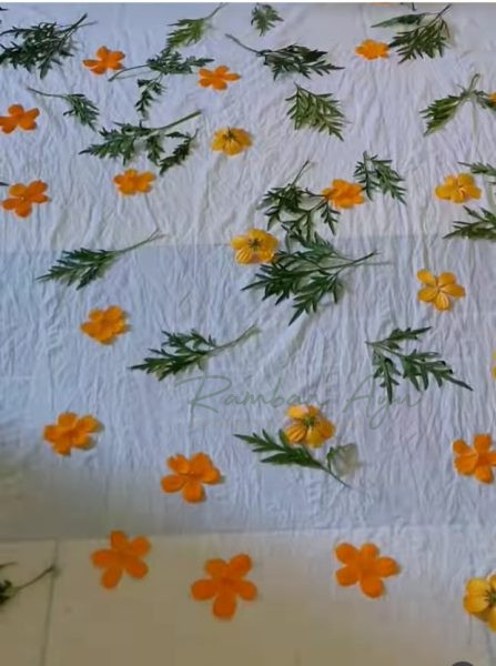 Mengenal Bunga Kenikir untuk Bahan Ecoprint - Ramban Ayu Pelatihan ...